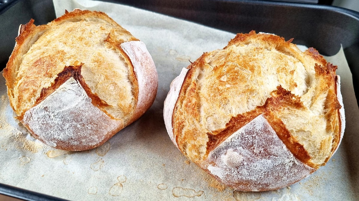 Biga Bread - Crispy Outside, Soft Inside, Tastes Divine! Recipe | Food ...