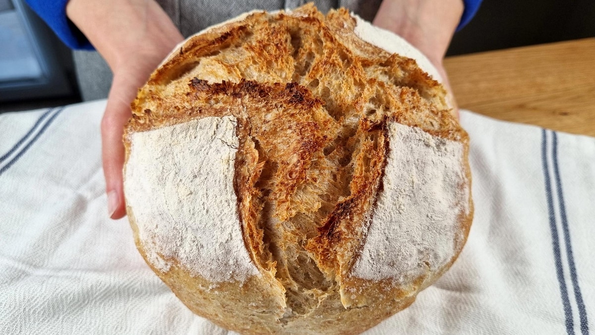 Whole Wheat Biga Bread - Amazing Flavor Recipe | Food Language
